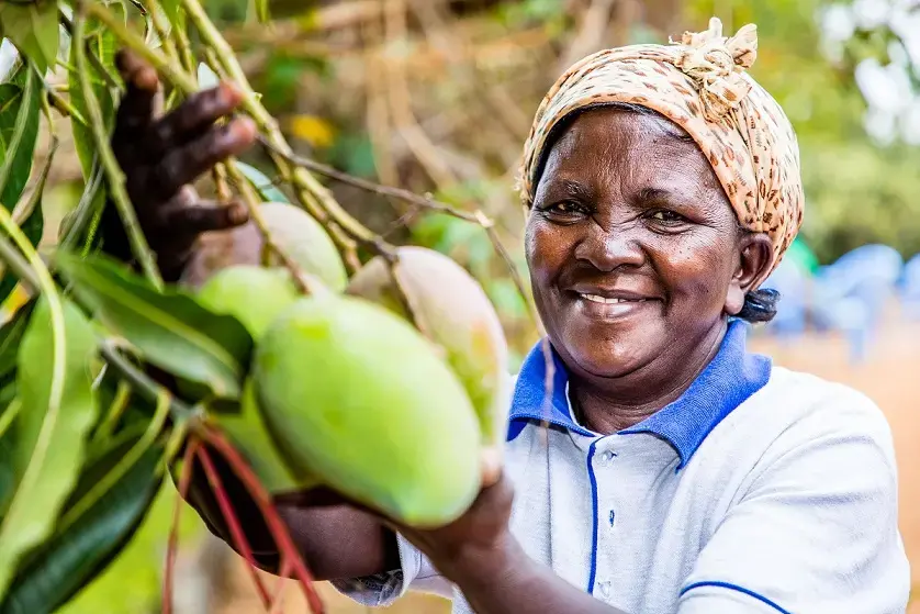 News / Events | AFR100