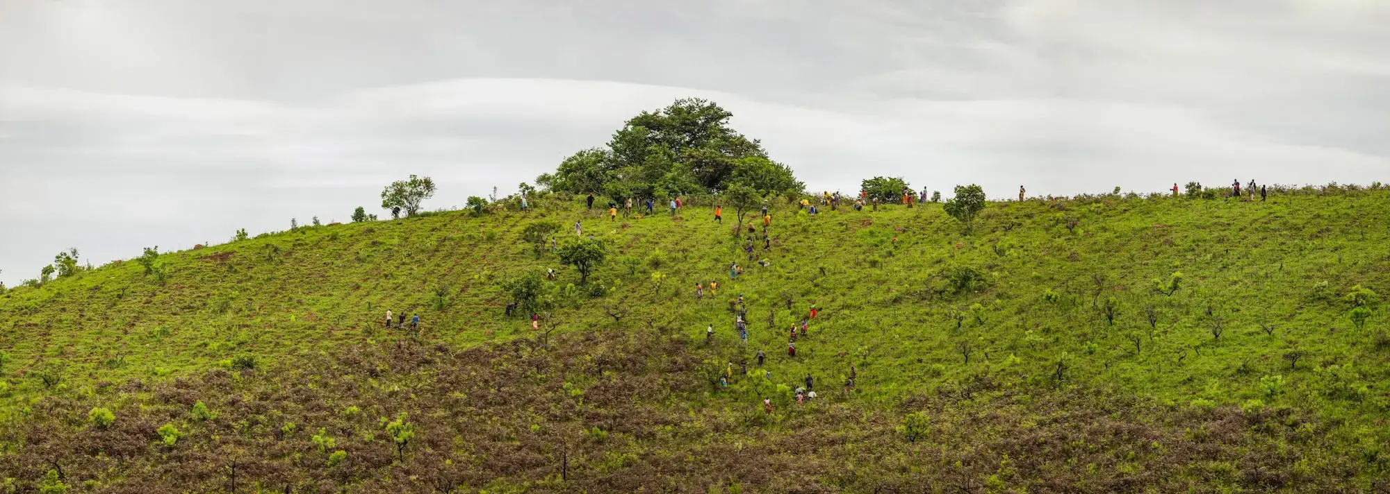 Restoring Malawi’s Land to Harness Water | AFR100