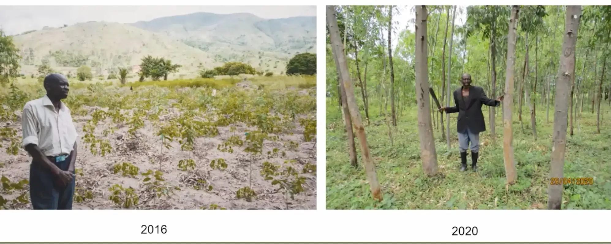 Restoring Relationships with People and the Planet in the Democratic ...