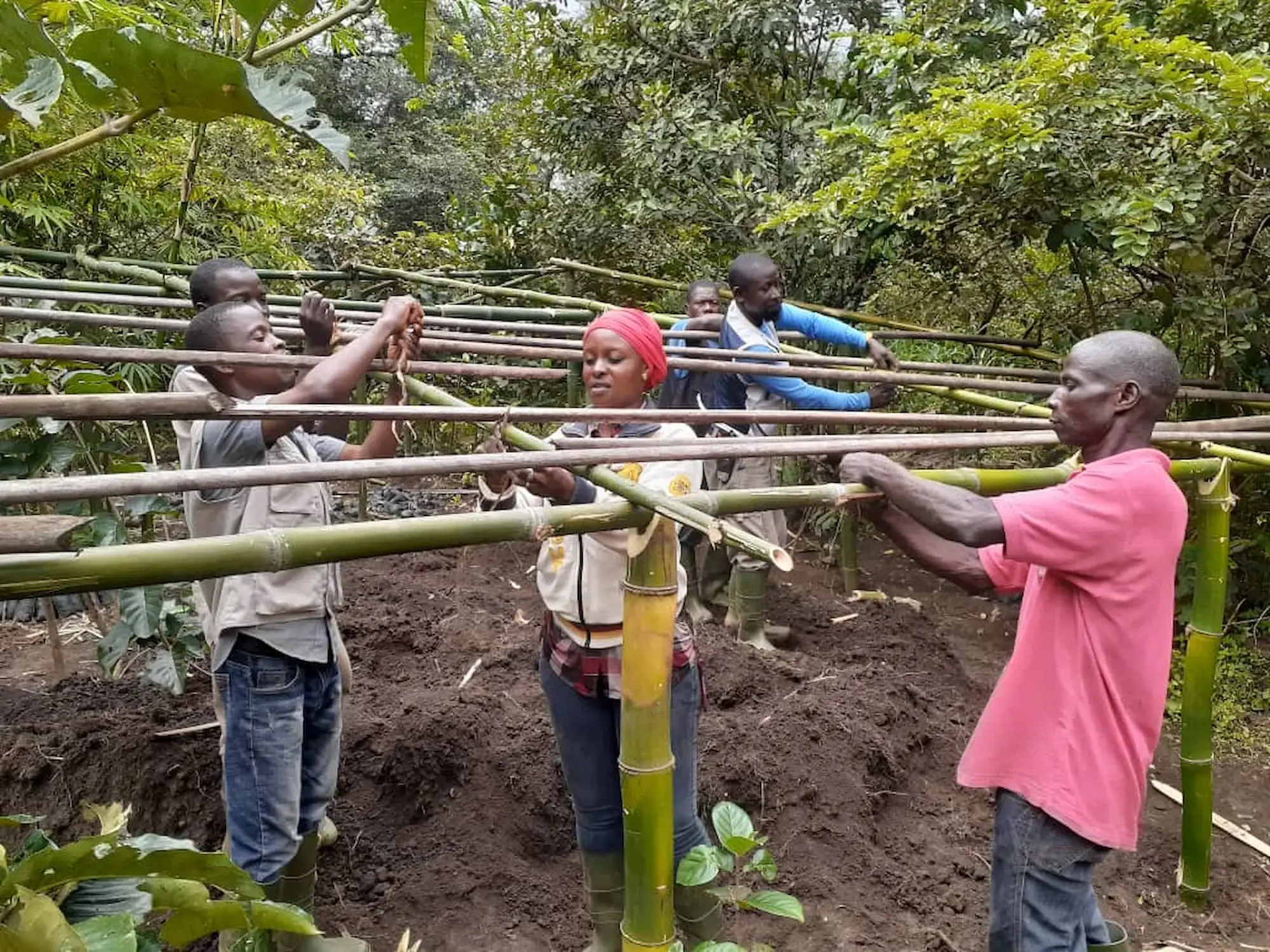 How unlikely miners in Guinea became guardians of reforestation | AFR100