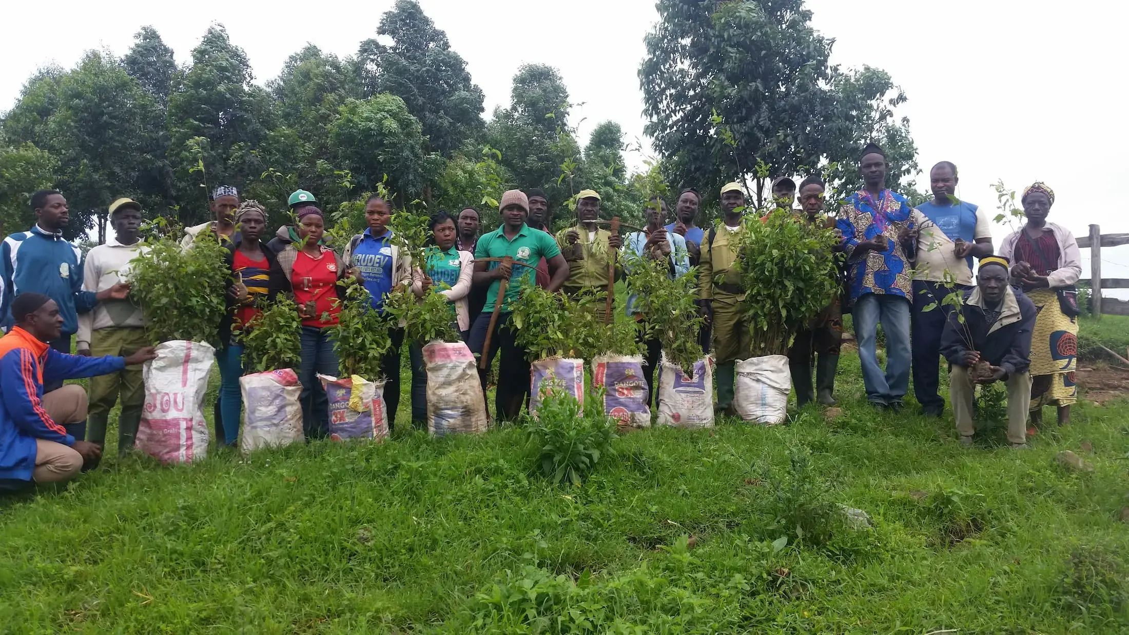 Restoring Forests Threatened by Civil Unrest in Cameroon | AFR100