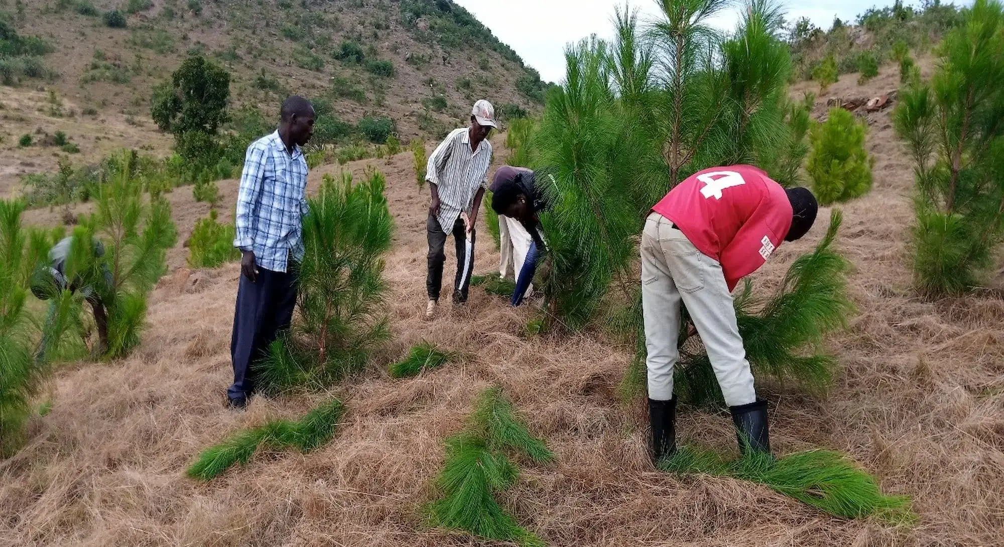 Improving Refugee Livelihoods through Environmental Protection in ...