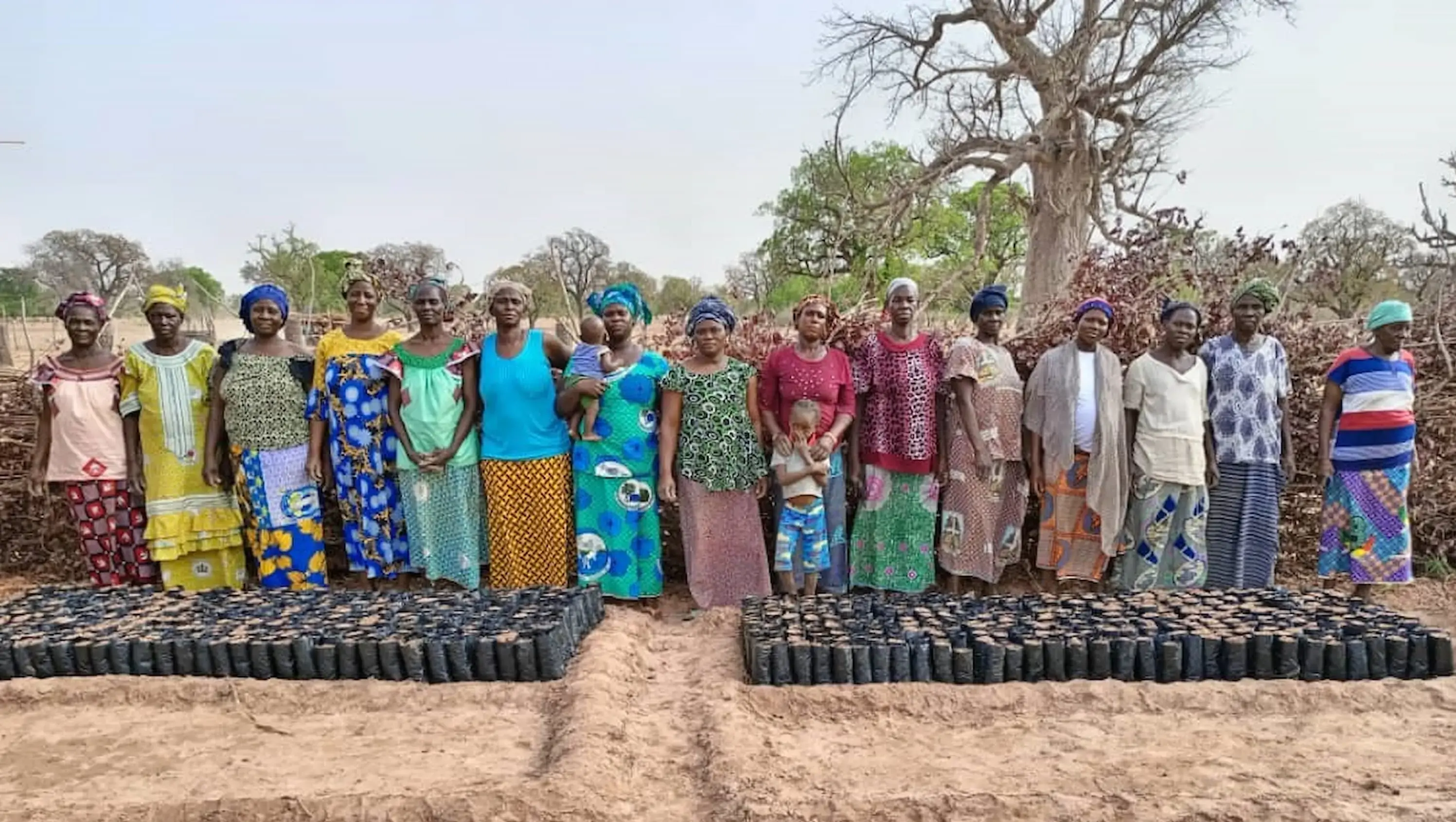 A local organization that wants to prevent the Sahel region ...