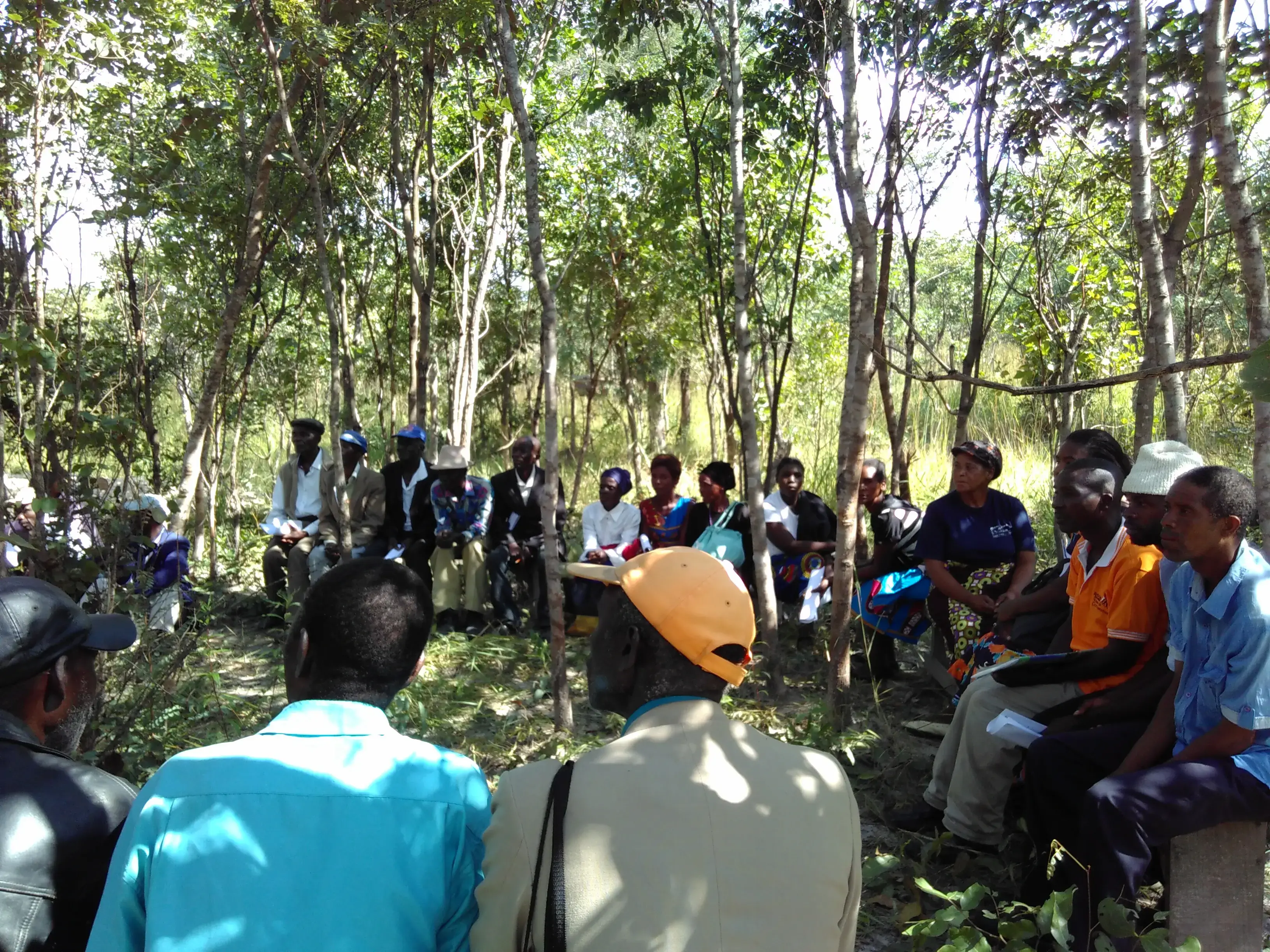 Forest Restoration Through Community Engagement in Zambia | AFR100